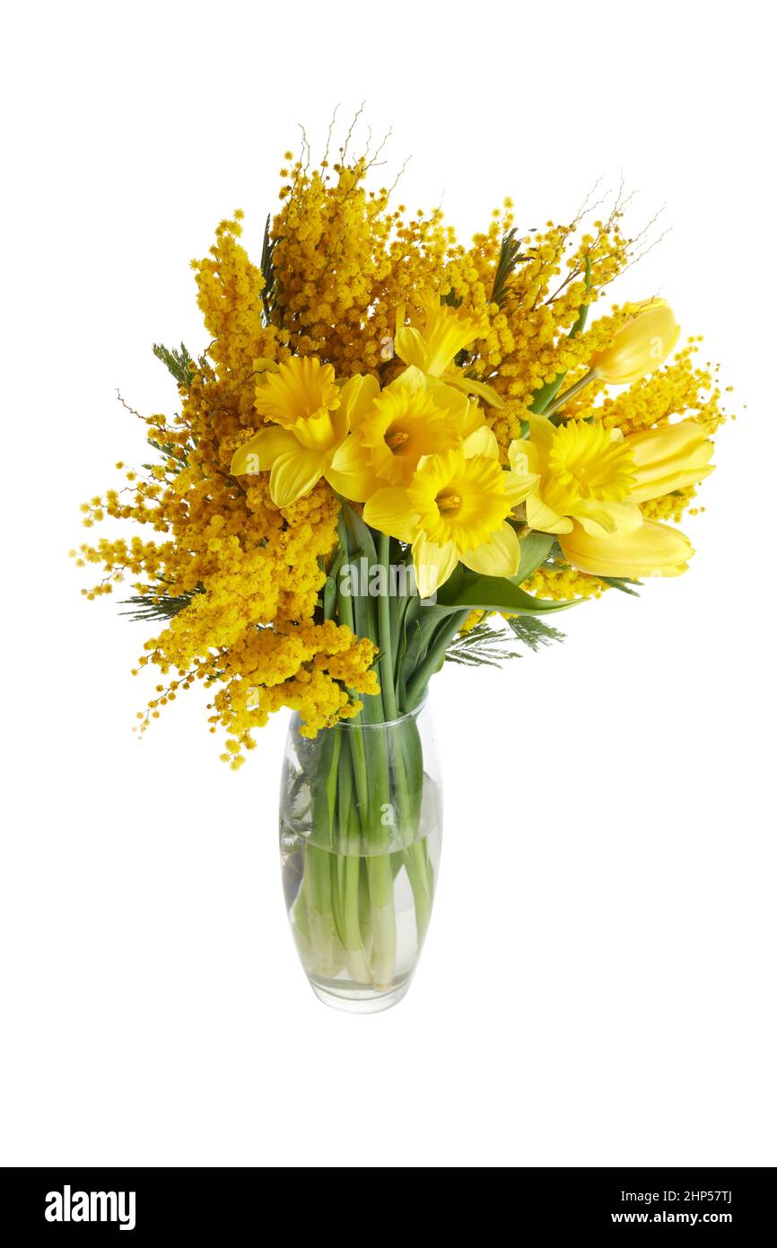 Mimosa, daffodil and tulip flowers bouquet on white background. Easter ...