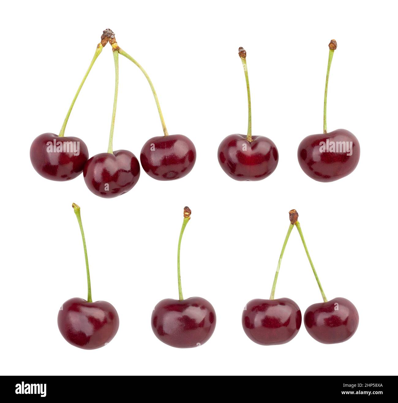 sour cherry path isolated on white Stock Photo - Alamy