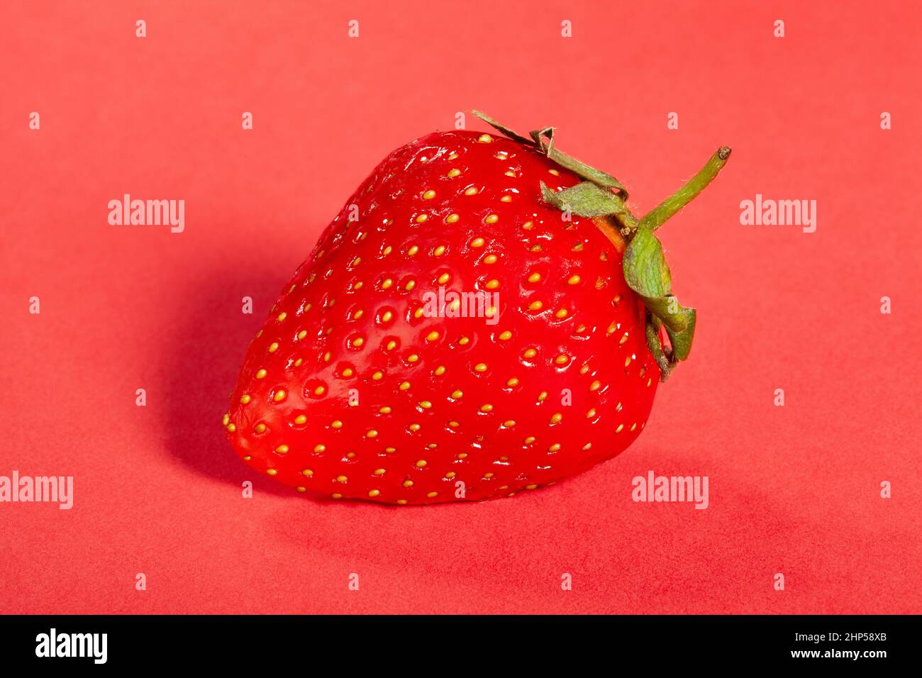 single strawberry on red background Stock Photo - Alamy