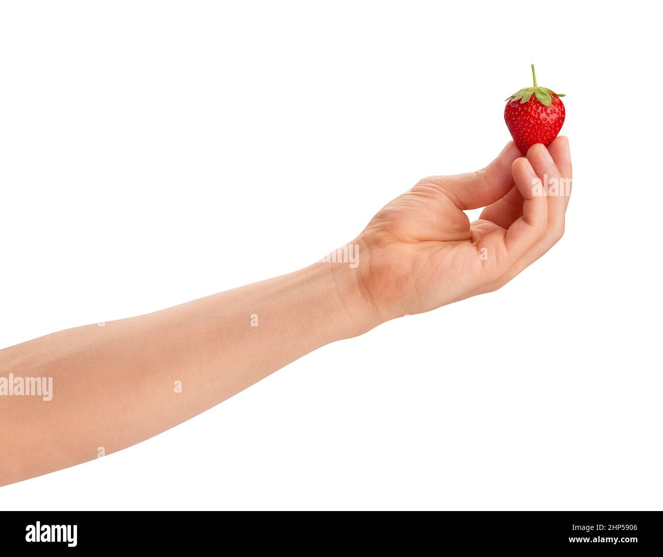Red berries in hand Cut Out Stock Images & Pictures - Alamy