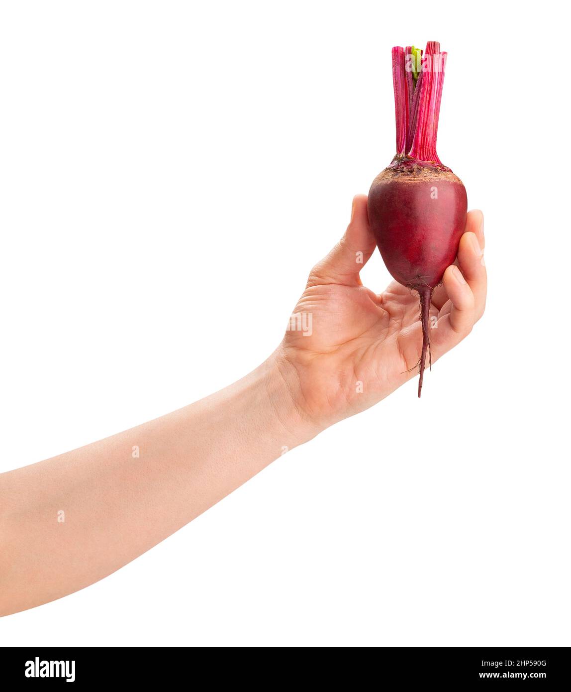 beetroot in hand path isolated on white Stock Photo - Alamy