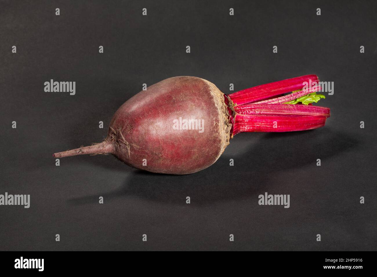single beetroot on black background Stock Photo - Alamy