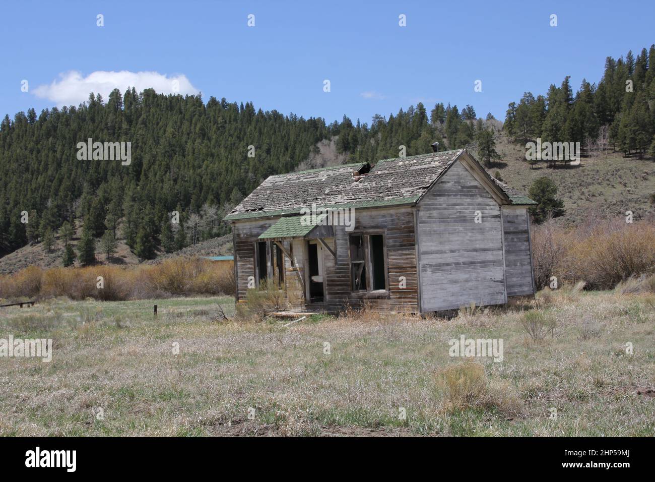 Abandoned wooden building in a field with a forest and blue sky in the ...