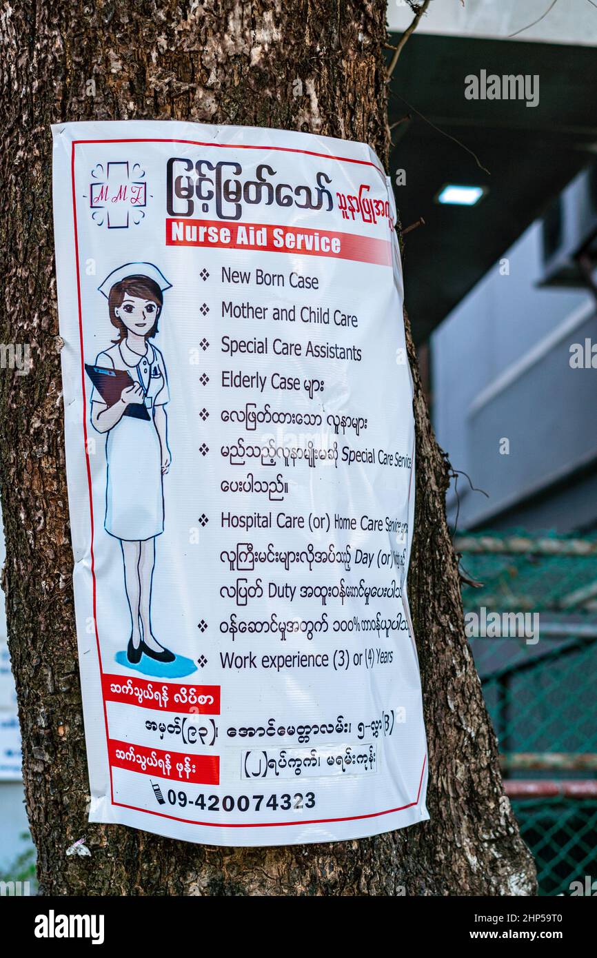 Closeup of a Health care poster stapled to the tree outside a health ...