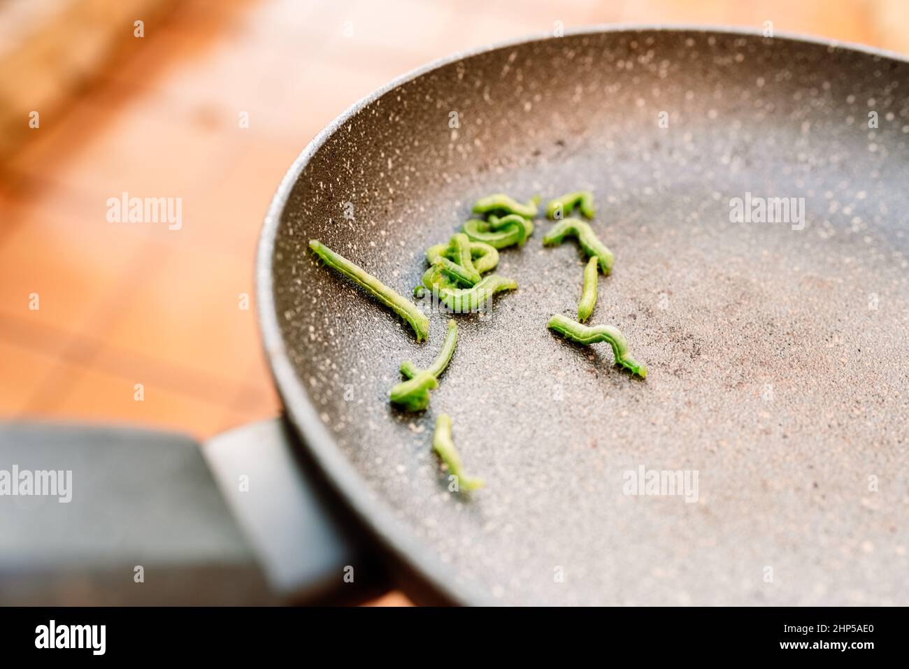 live worms in a pan, concept of asquerous and protein feeding, ready ...