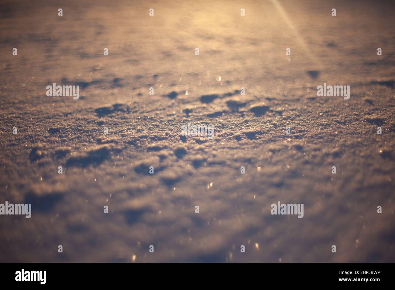 Texture of snow in sun. Sunset in winter in detail. Snow background ...