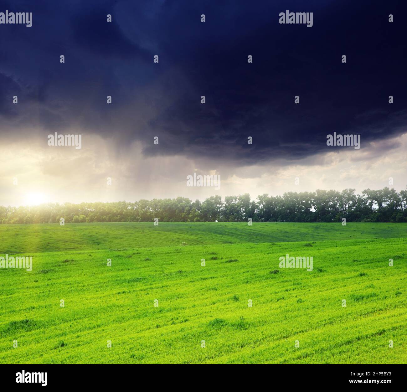 Summer field and dramatic sky before storm. Dark ominous clouds Stock ...