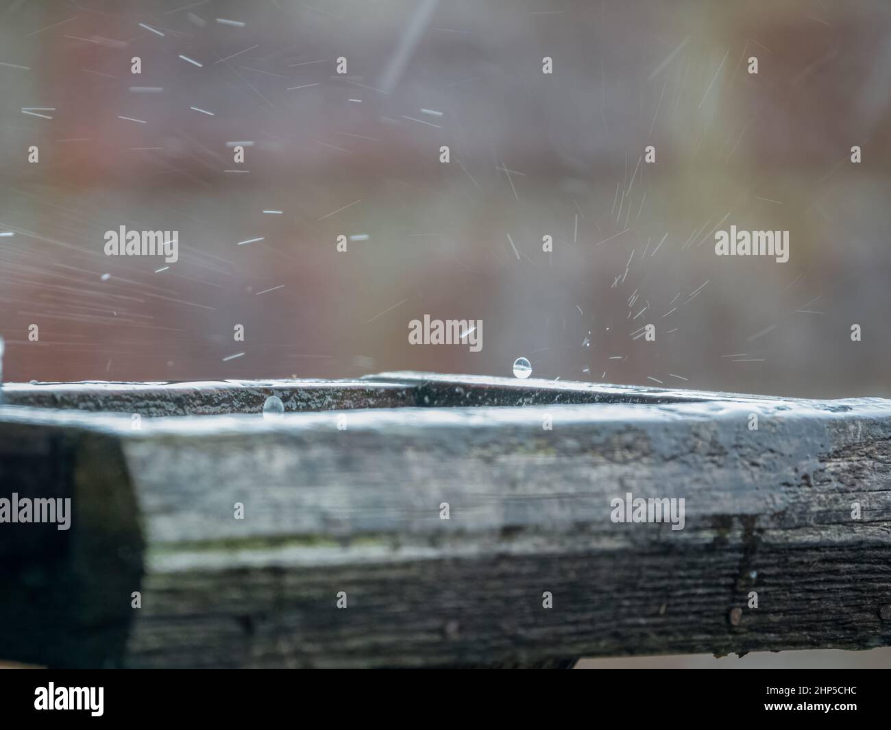 rain droplets captured on impacting a wooden bird feeding table and ...