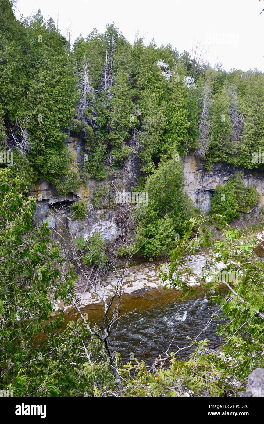 Flowing river and trees growing along cliff-face at Elora Gorge during ...