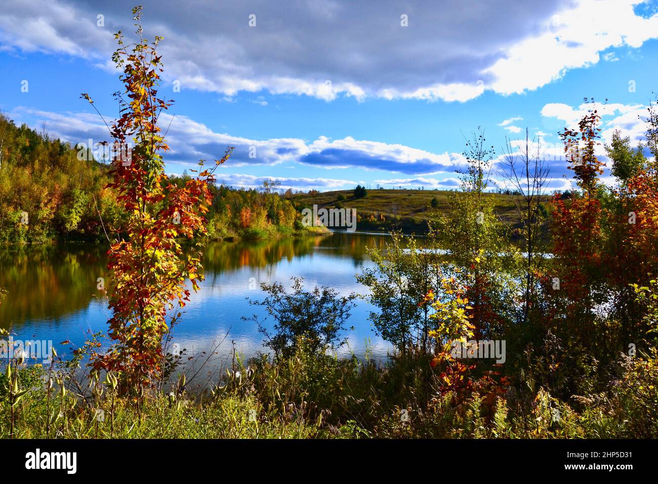 Scenic landscape with Fall colours and cloud reflections on lake Stock ...