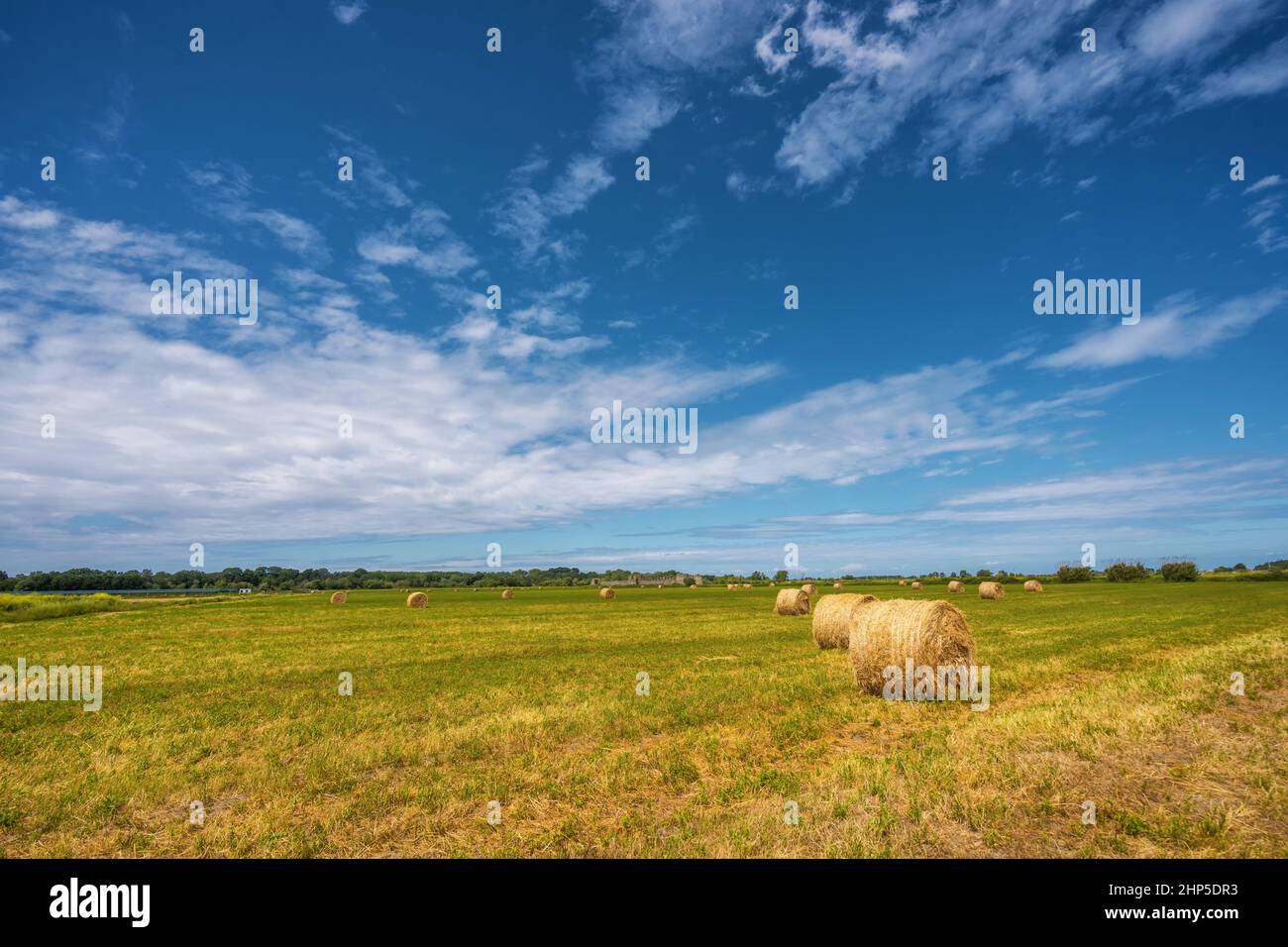 Agricultural field with harvested hay and stacks in summer. Haystacks Stock Photo - Alamy