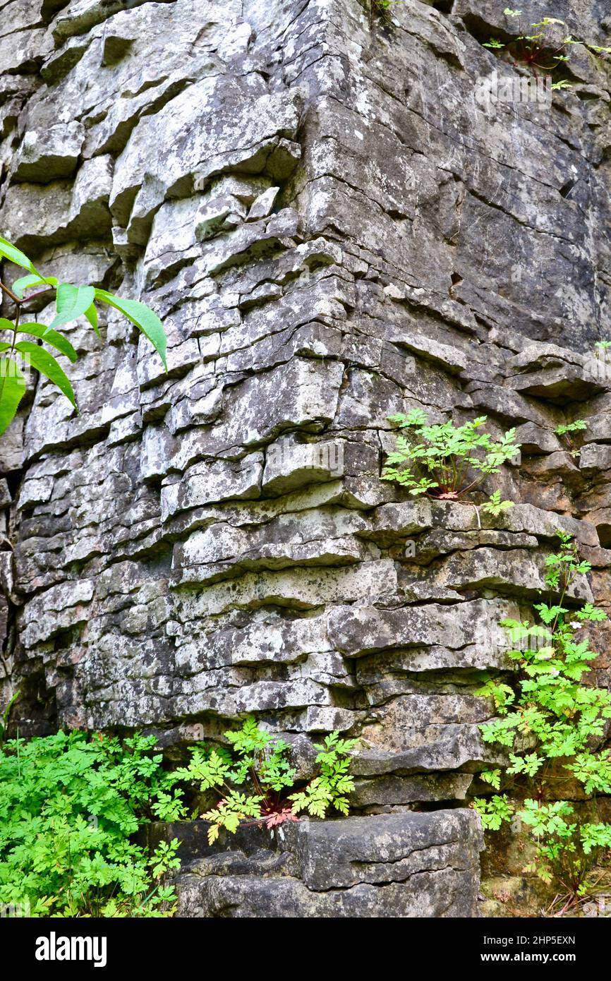 Stacks of limestone rock layers along the Niagara Escarpment during ...