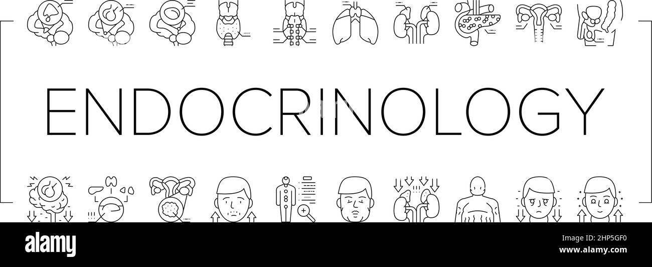 Endocrinology Medical Disease Icons Set Vector Stock Vector Image & Art ...