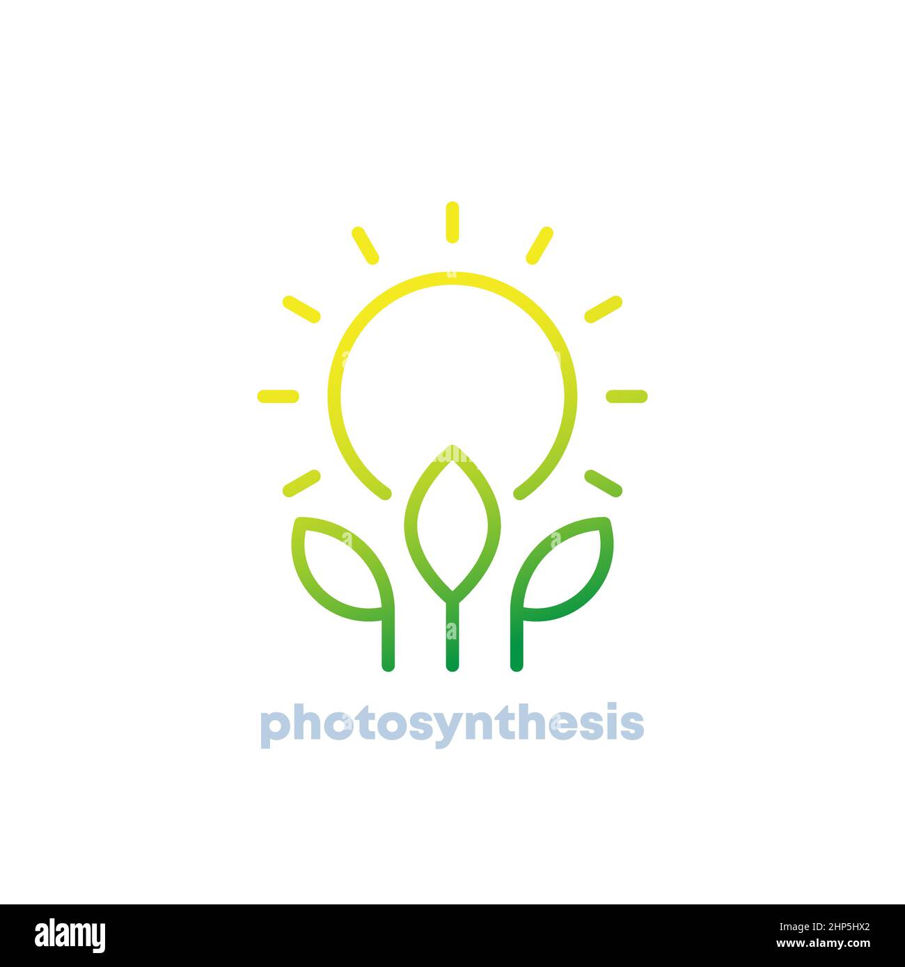 photosynthesis line icon with sun and plant Stock Vector Image & Art ...