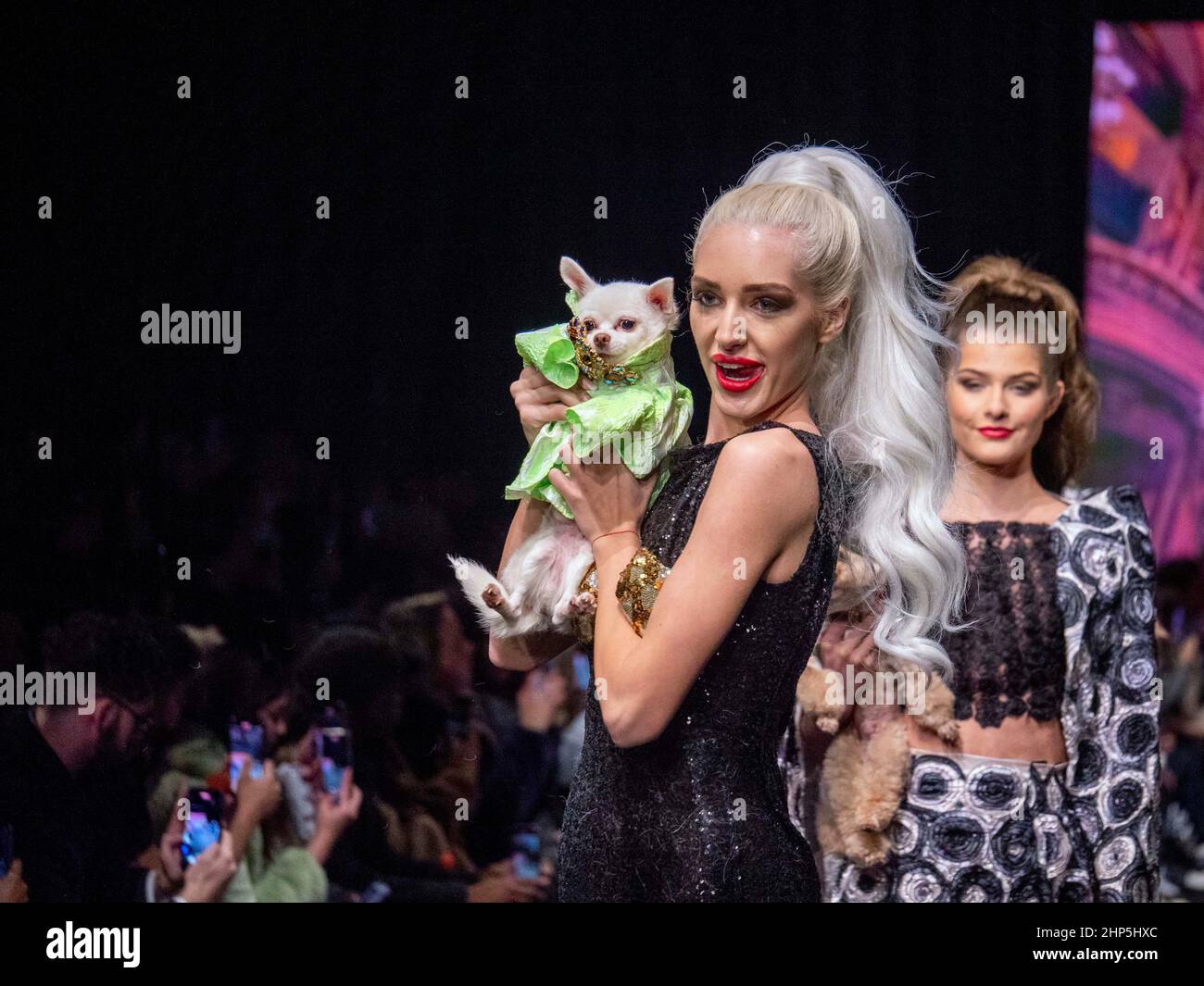 New York, New York, USA. 13th Feb, 2022. Dogs on the Catwalk at the ...