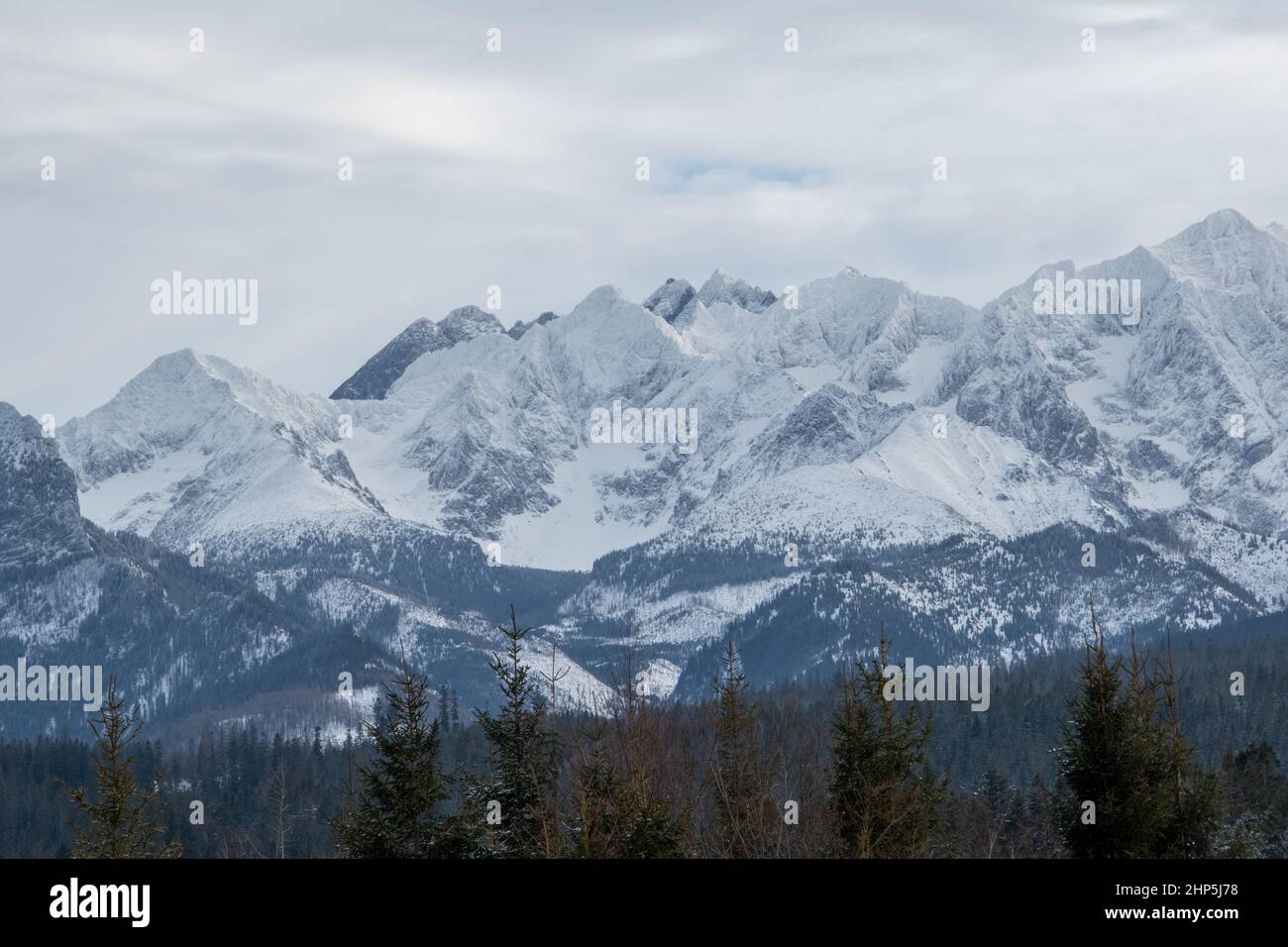 Beautiful view of the Polish Tatras in winter scenery. Mountain tops ...