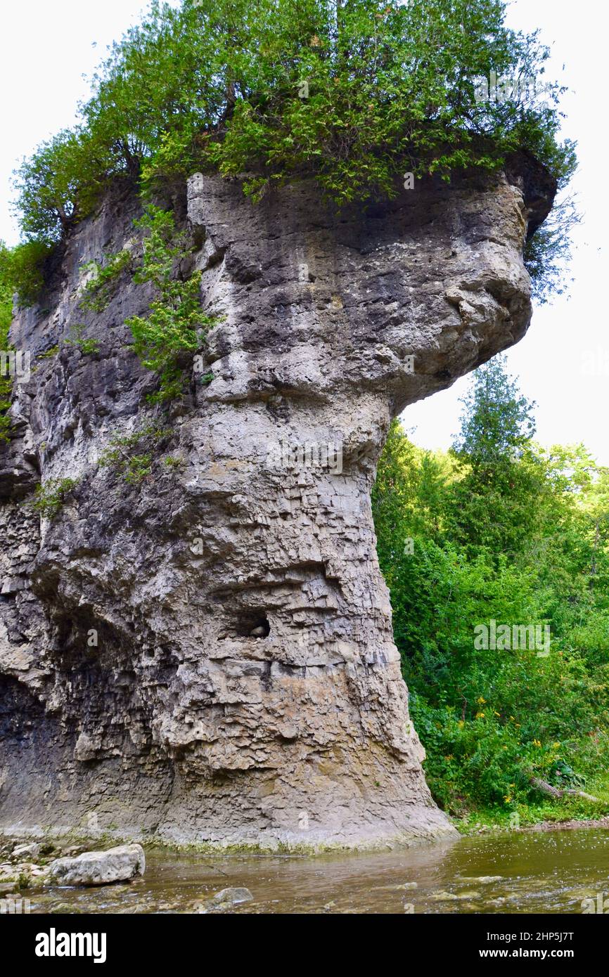Large limestone cliff viewed from the base of the Elora Gorge during ...