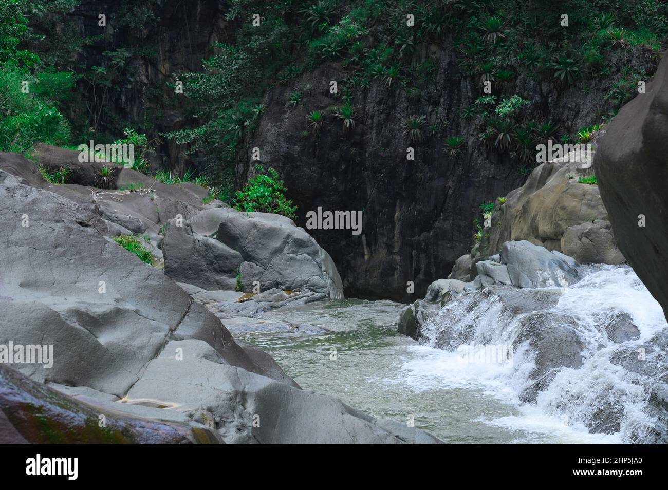 Photo shows a rocky gorge in which a mountain river flows. River flows ...
