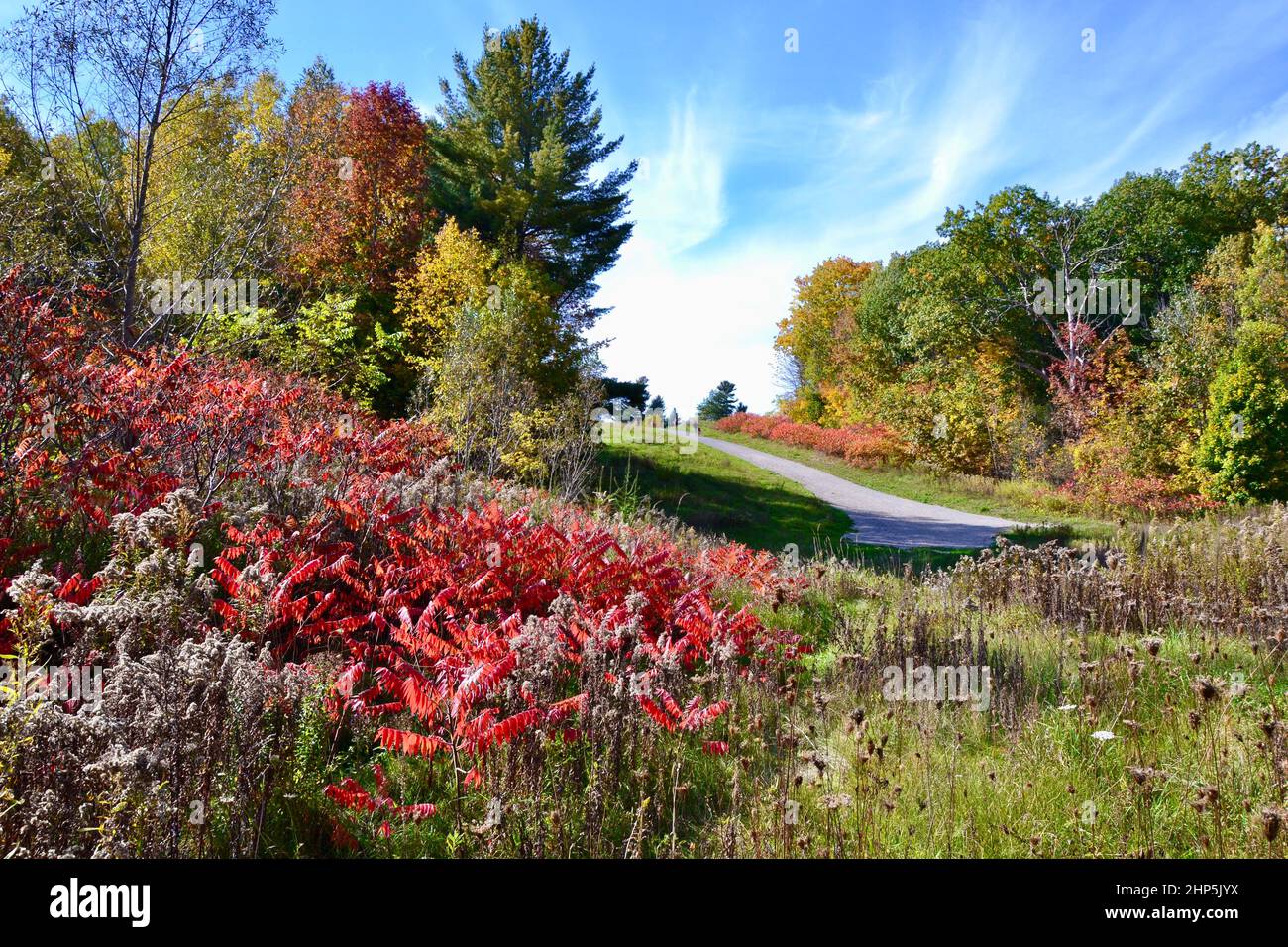 Walking trail through park hi-res stock photography and images - Alamy