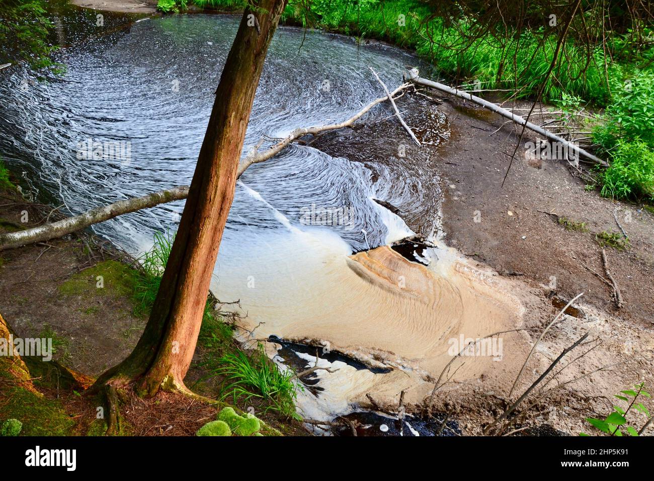 Foamy water along river flowing through lush green forest during Summer ...