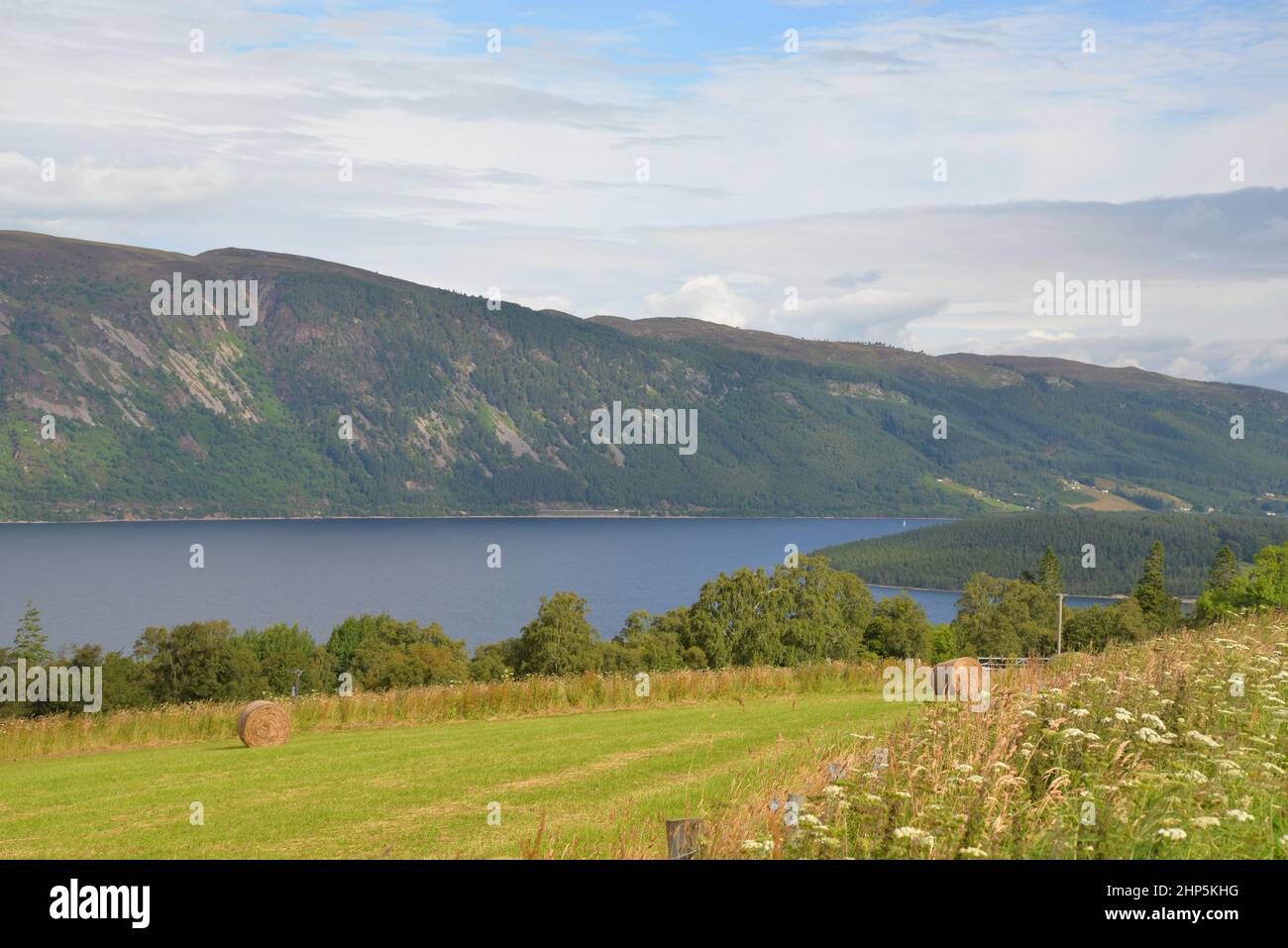 Scotland, loch ness, forest hi-res stock photography and images - Alamy