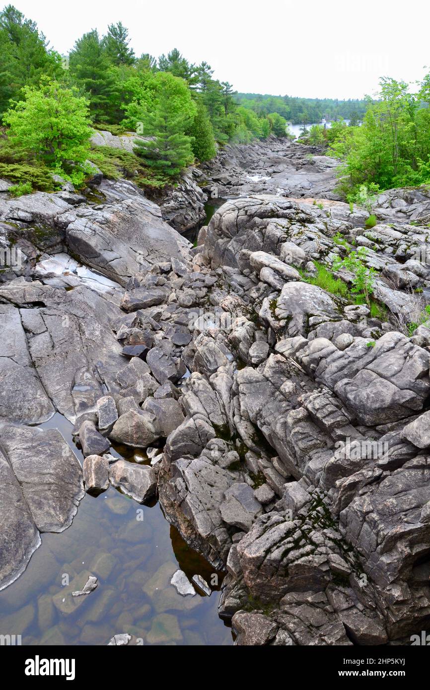 Dry rocky riverbed in the Muskoka region during Summer Stock Photo - Alamy