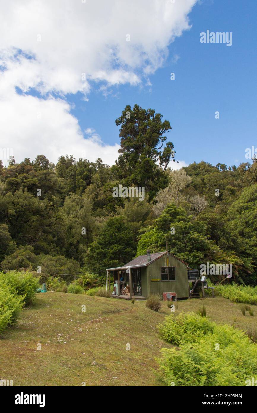 New Zealand, Te Urewera National Park - December 29 2020: the view of ...