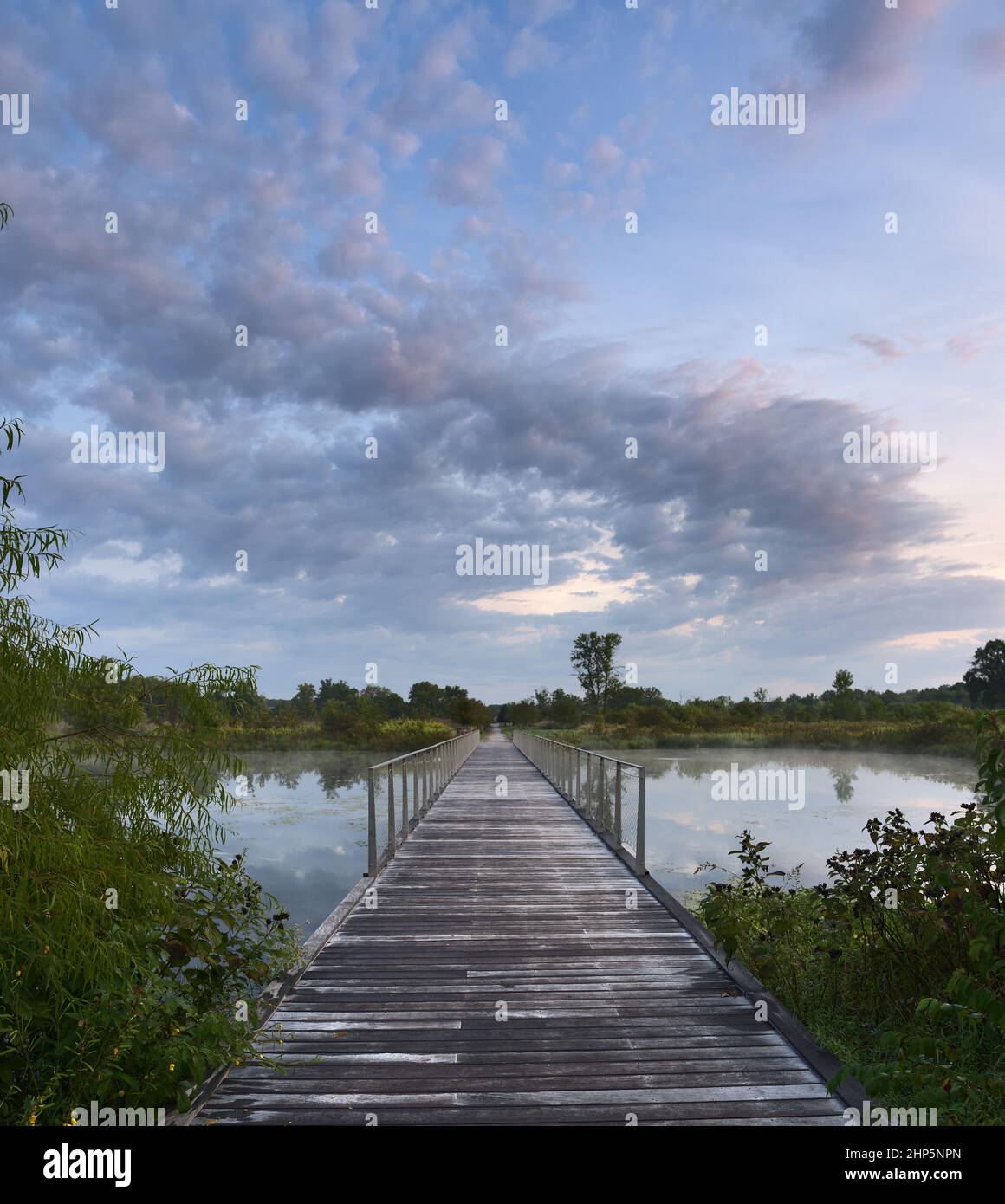 A landscape image of the sunrise over a walking bridge in wetlands ...