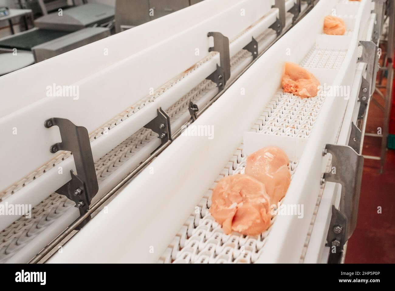 Chicken fillet production line . Factory for the production of food ...