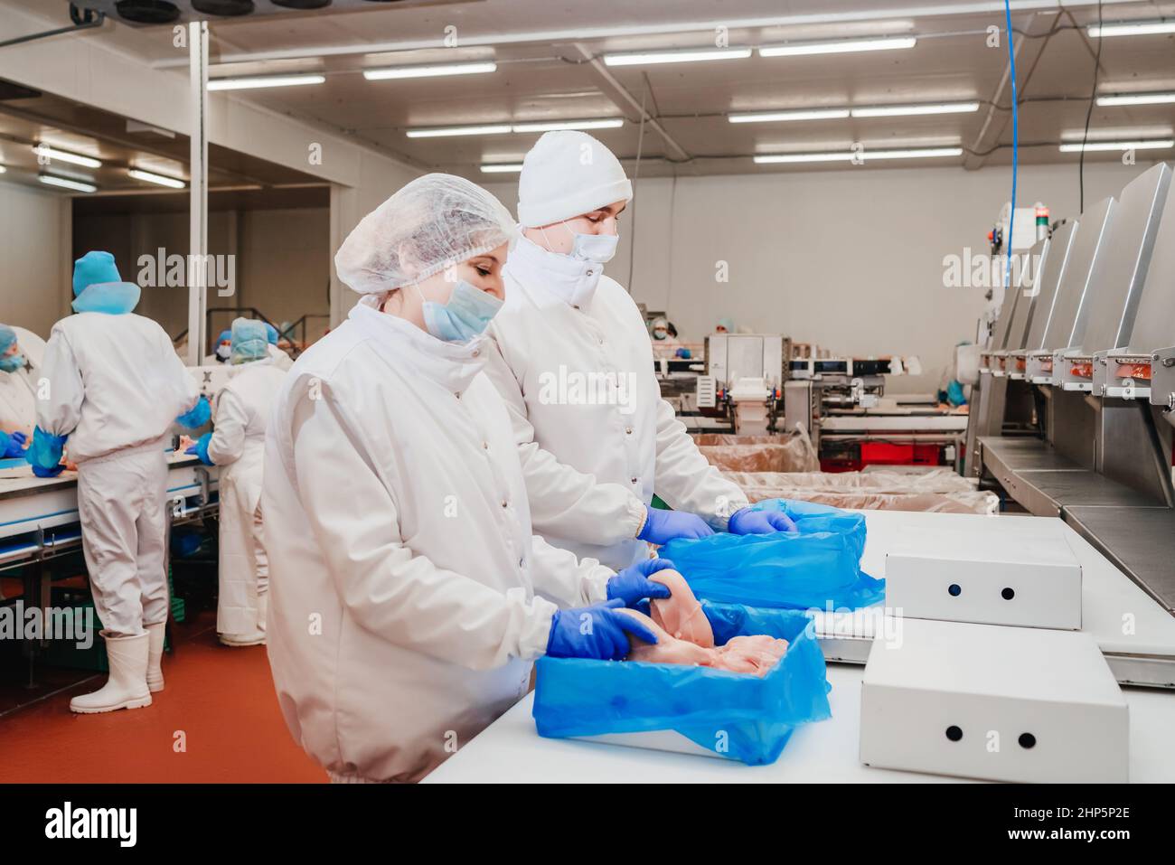 Line for the production of semi-finished meat products.Meat processing ...