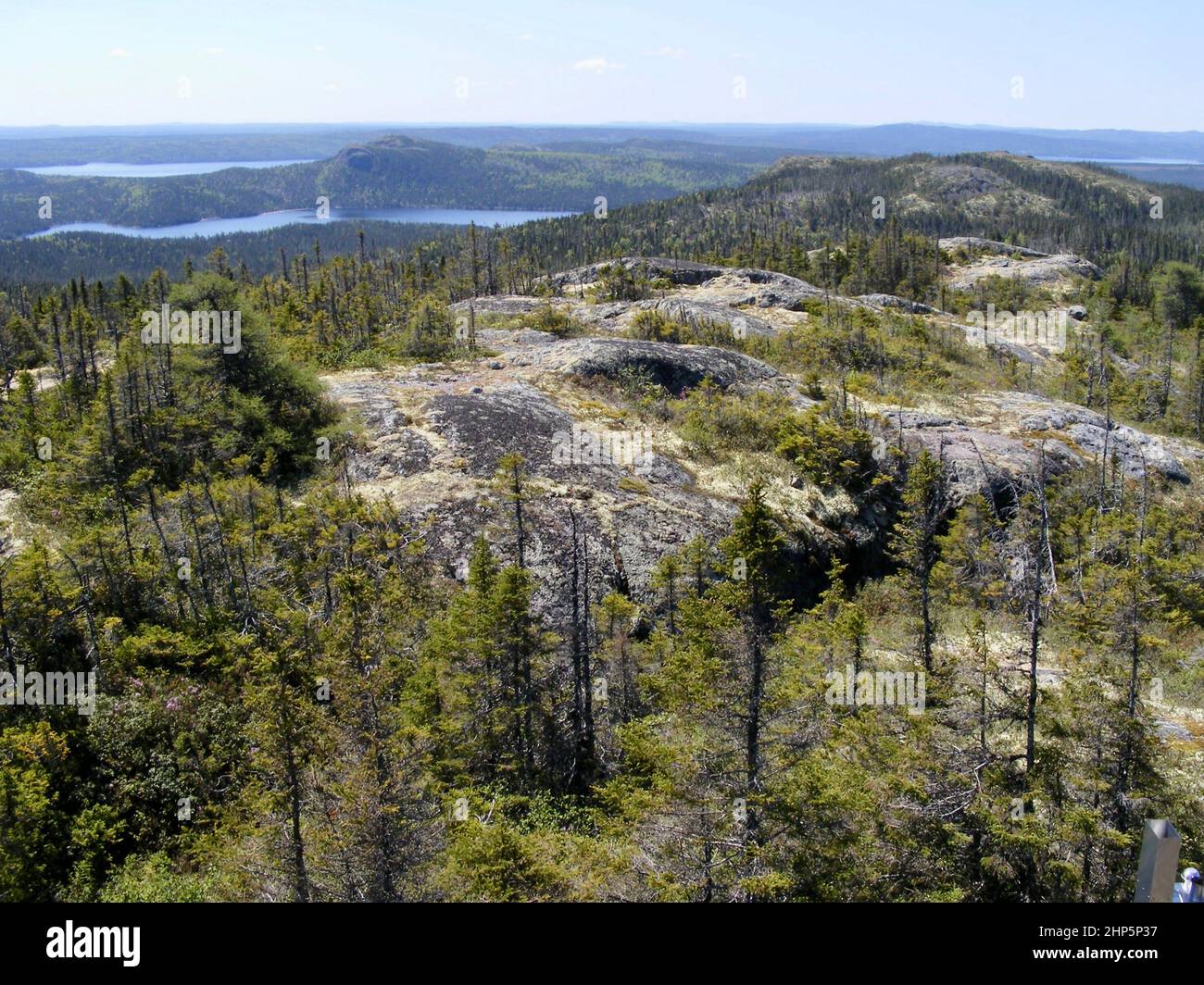 Panoramic view from lookout tower over rugged forest landscape at Terra ...