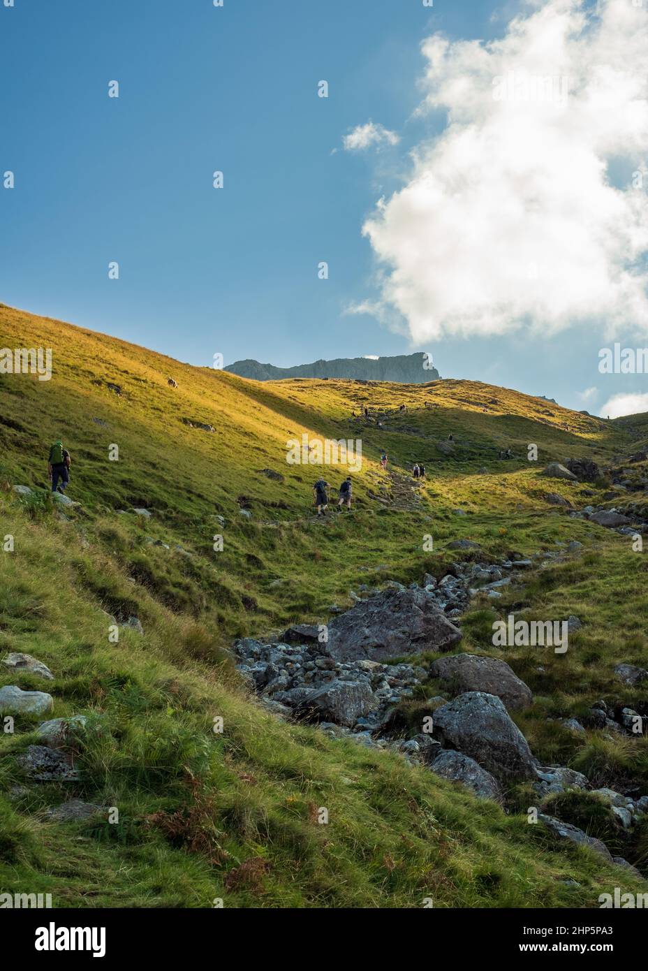 The Path to Scafell Pike, from Wasdale Head Stock Photo - Alamy