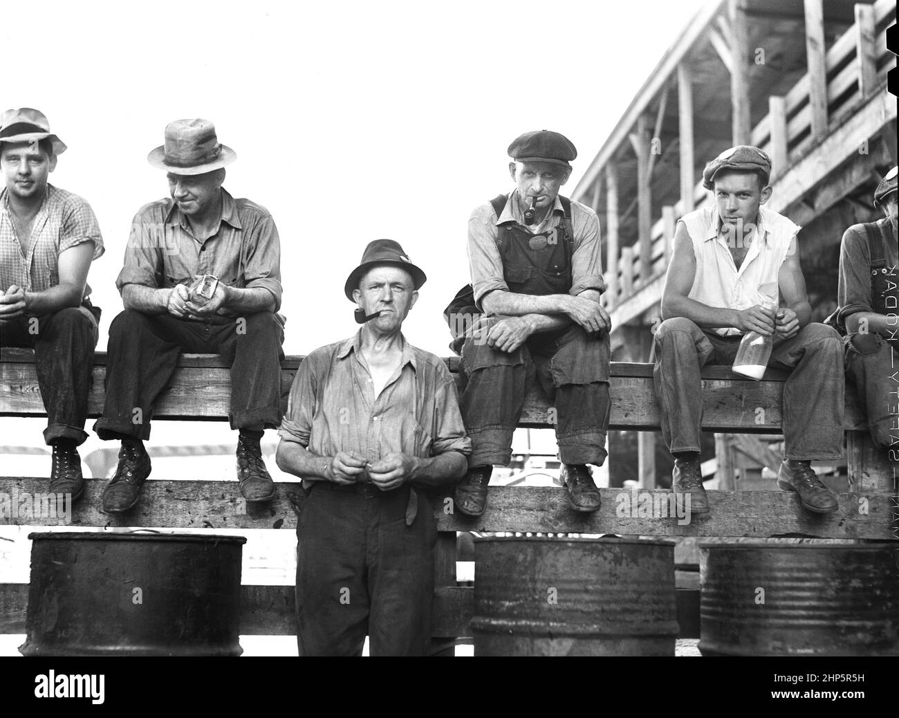 Stockyard workers hi-res stock photography and images - Alamy
