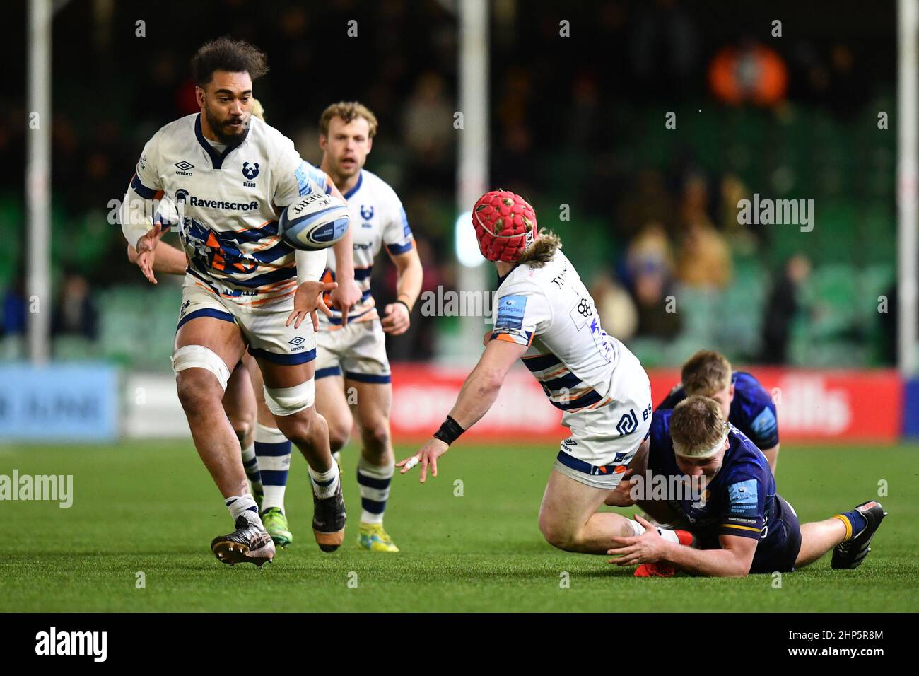 Harry thacker of bristol bears hi-res stock photography and images - Alamy