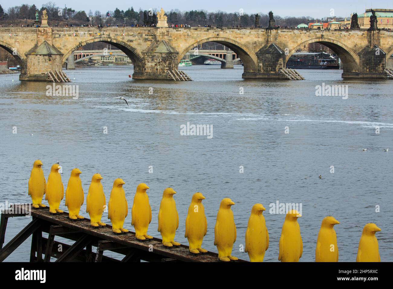 A line of Yellow Plastic Penguins Sculptures by the River Vltava, with ...