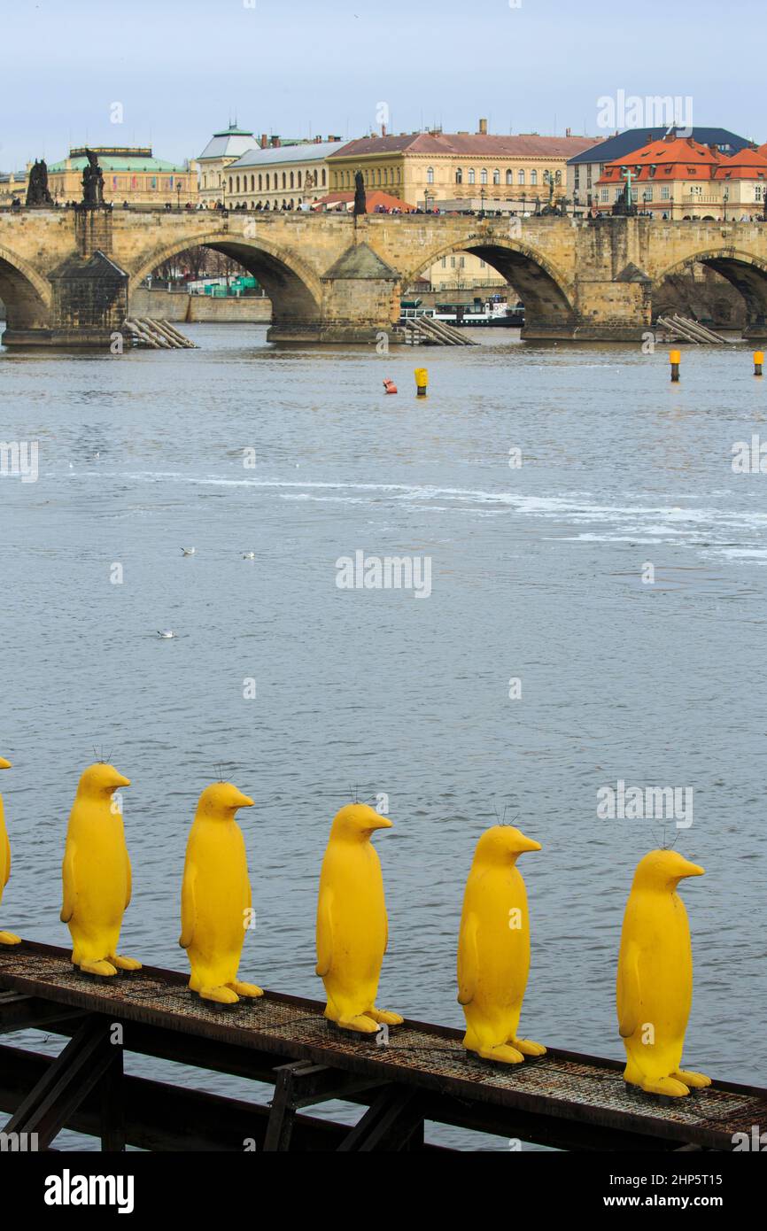 A line of Yellow Plastic Penguins Sculptures by the River Vltava, with ...