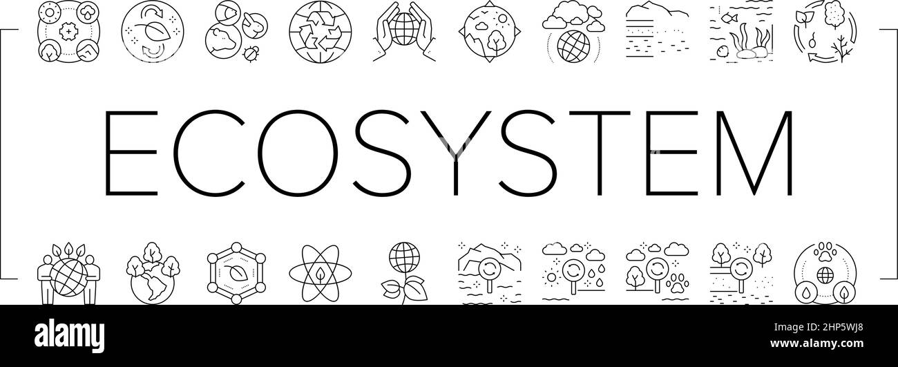 Biodiversity ecosystem animals Black and White Stock Photos & Images ...