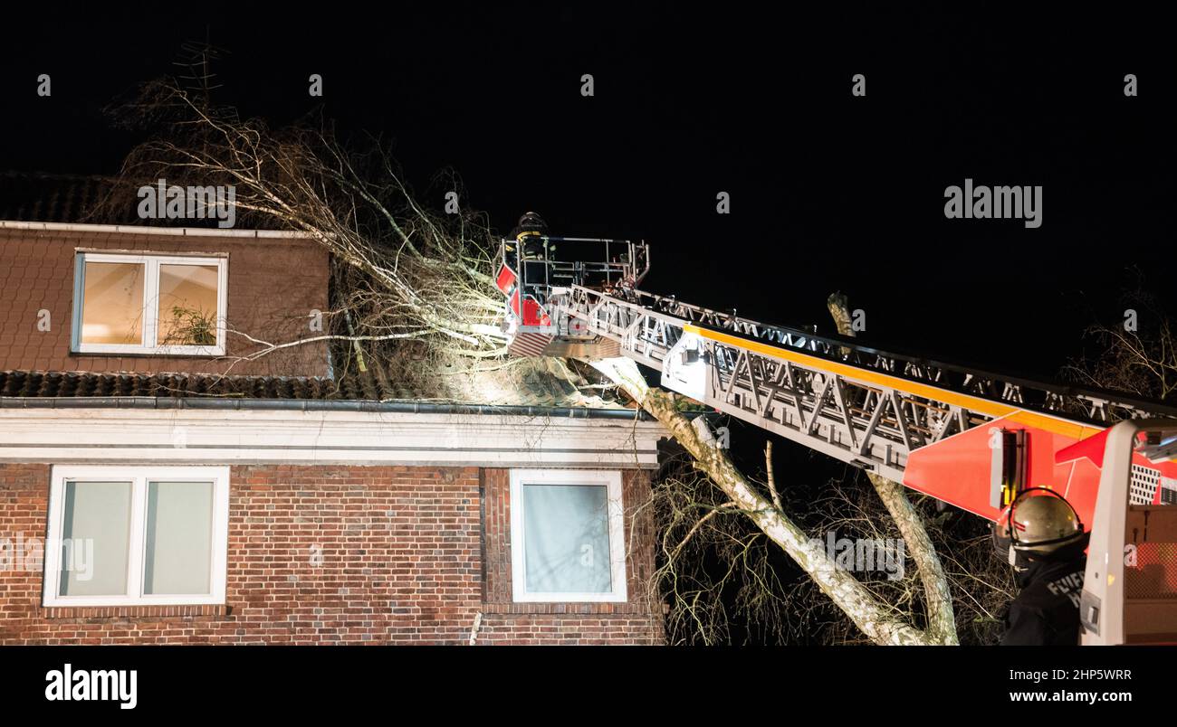Storm ladder hi-res stock photography and images - Alamy