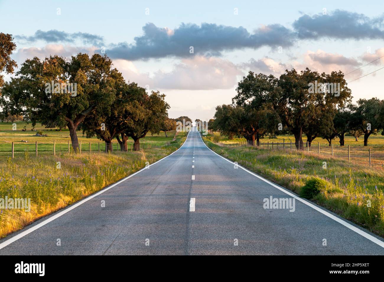 2 way perspective hi-res stock photography and images - Alamy