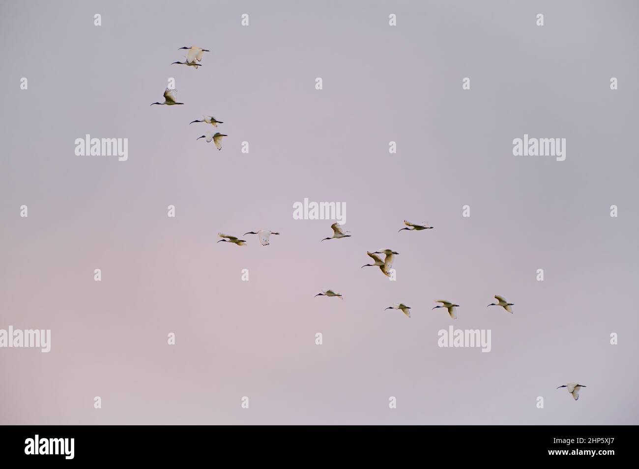 Up high in the sky hi-res stock photography and images - Alamy