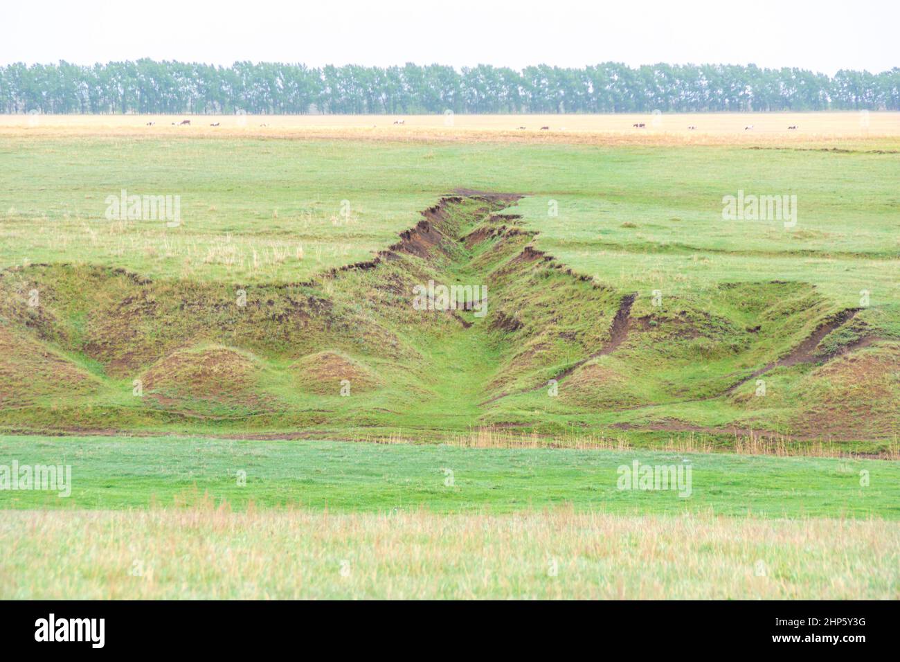 loss of agricultural land due to the development of ravines and erosion ...