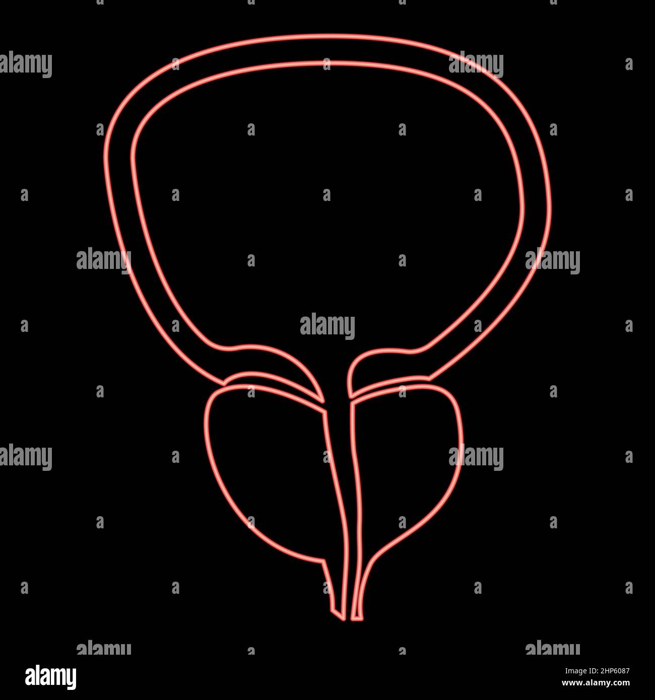 Neon the prostate gland and bladder red color vector illustration flat ...