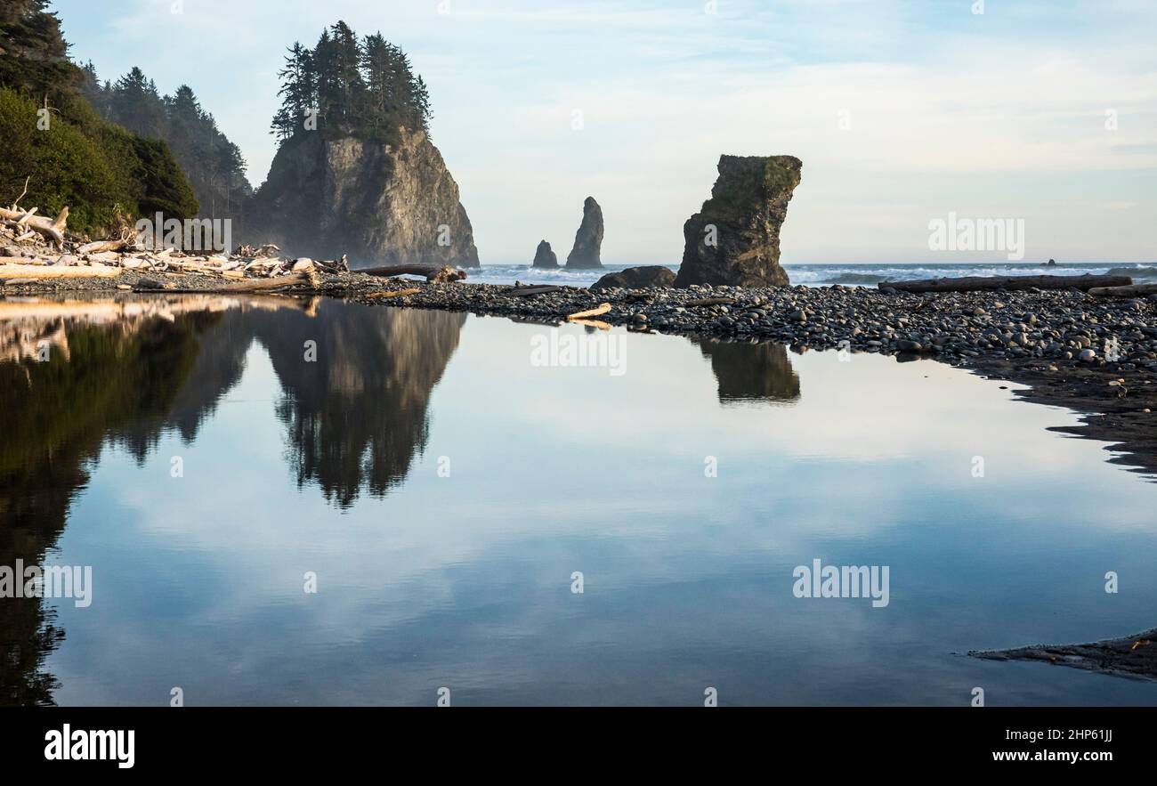 Olympic National Park Coastal Strip and Olympic National Marine ...