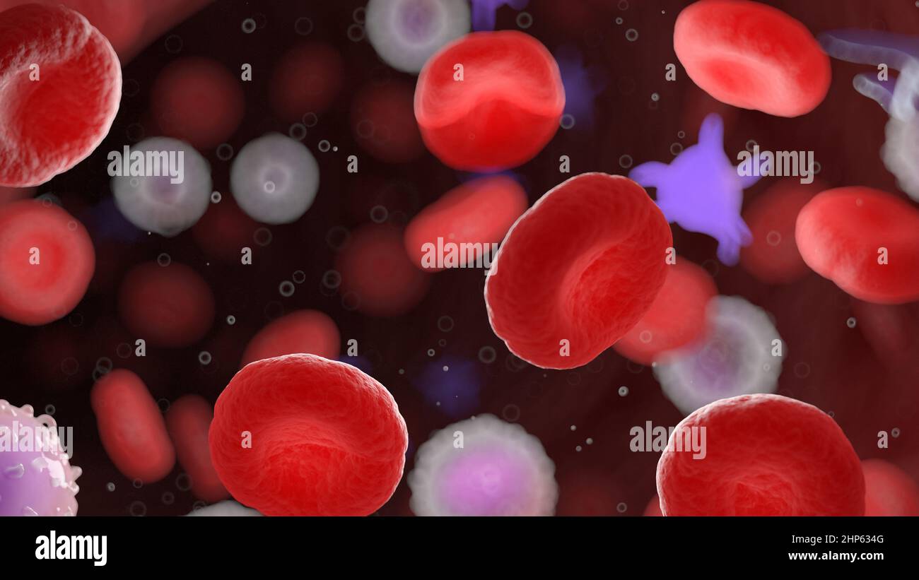 Human blood, illustration Stock Photo - Alamy