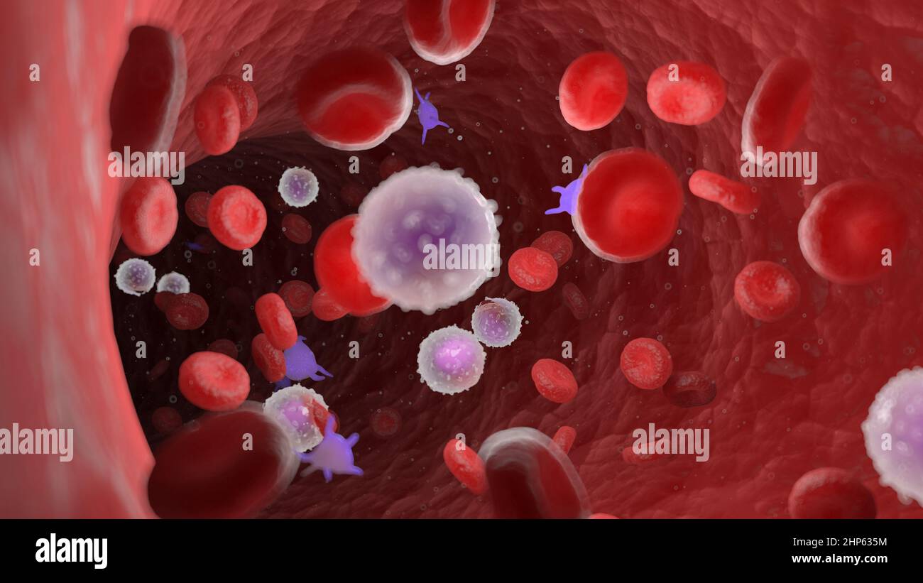 Human blood, illustration Stock Photo - Alamy