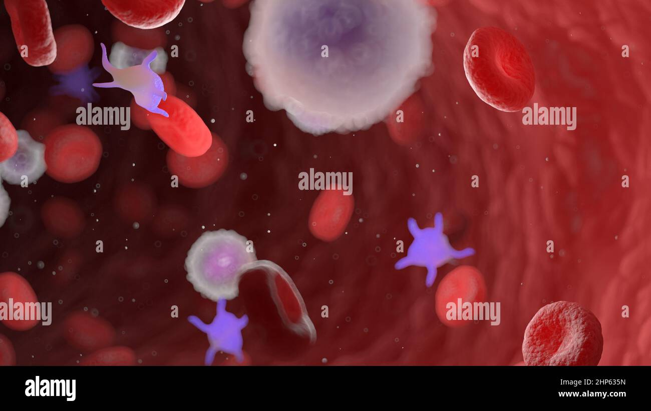 Human blood, illustration Stock Photo - Alamy