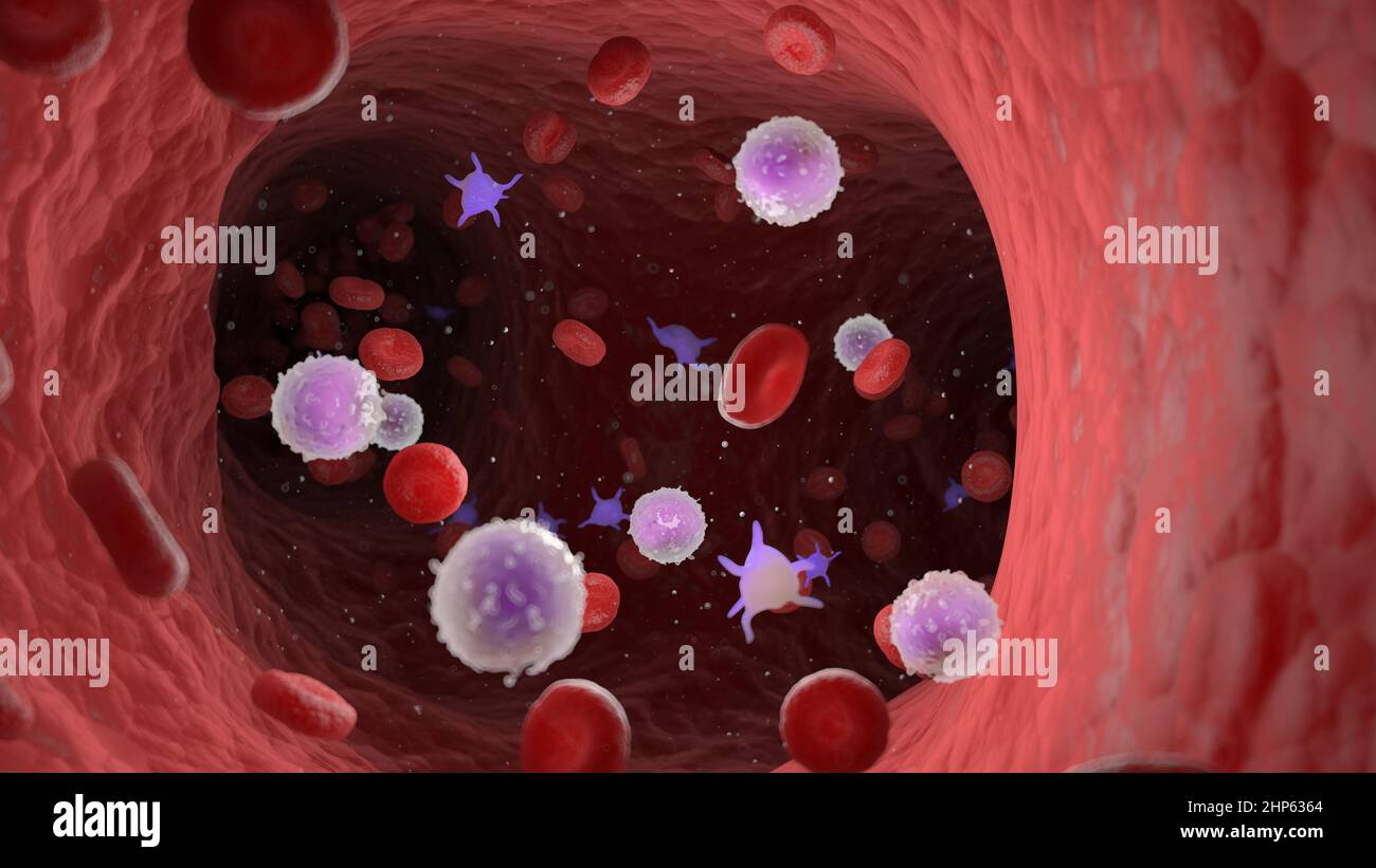 Human blood, illustration Stock Photo - Alamy
