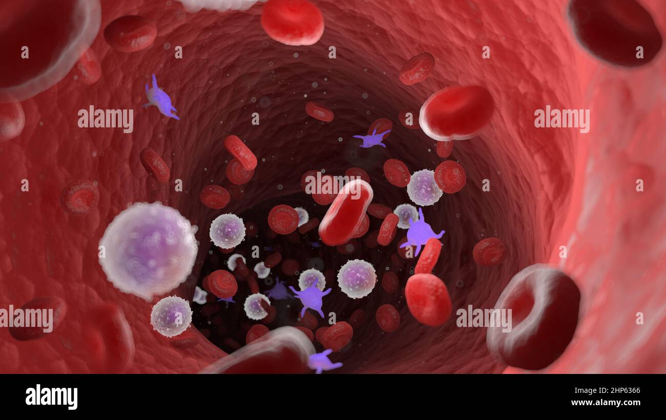 Human blood, illustration Stock Photo - Alamy