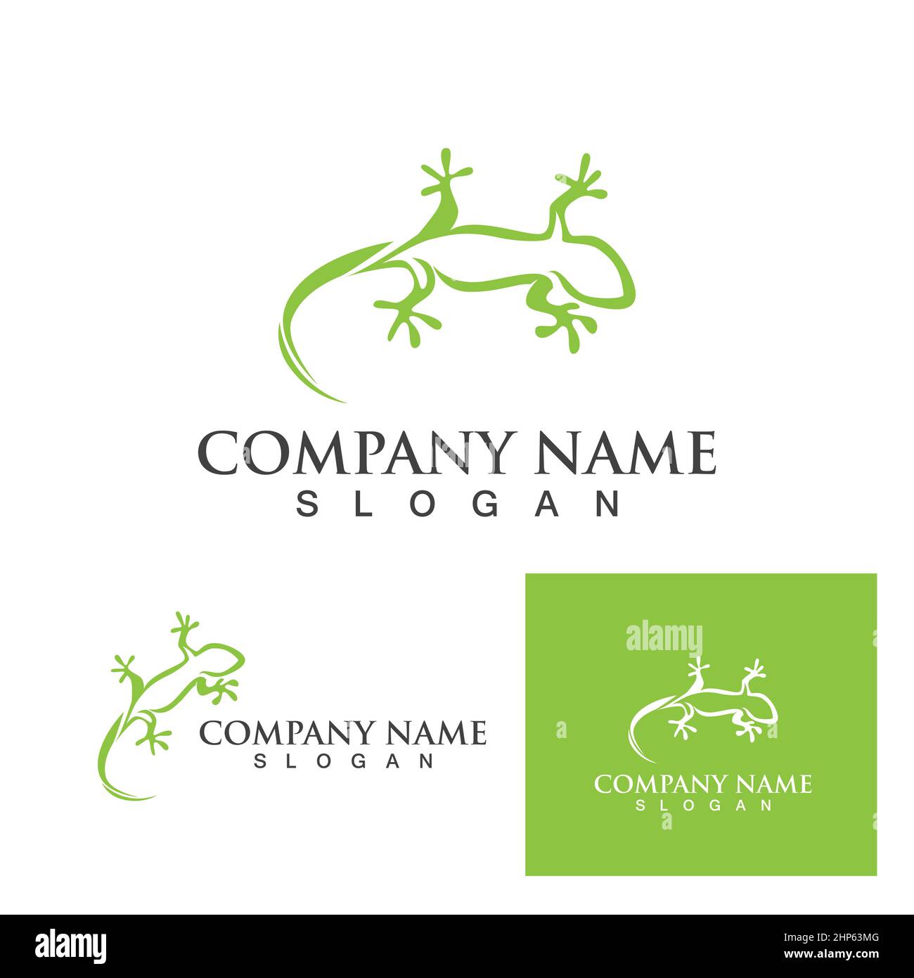 Lizard logo creative hi-res stock photography and images - Alamy