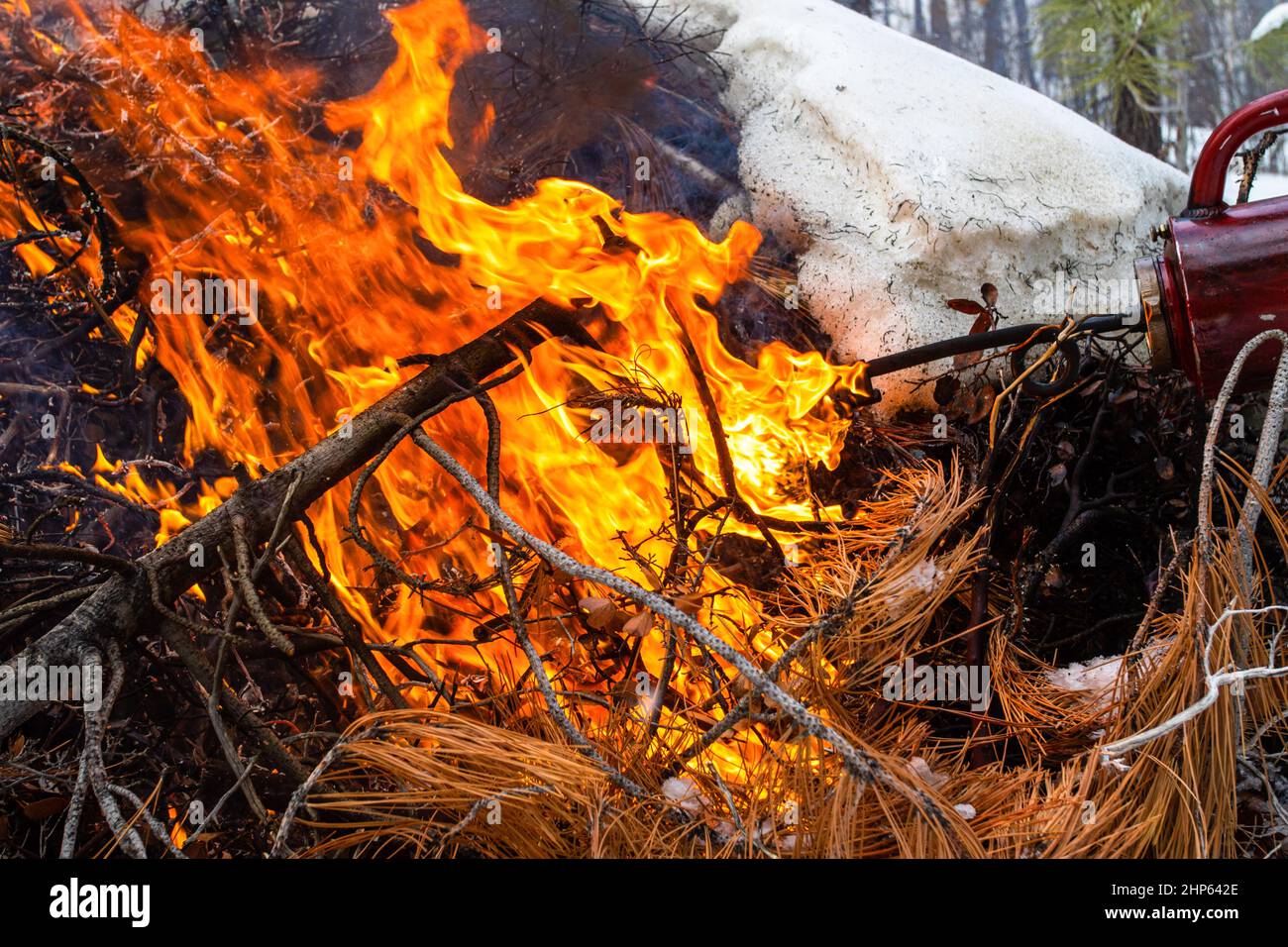 Verdi, United States. 15th Feb, 2022. A drip torch is used to start a ...